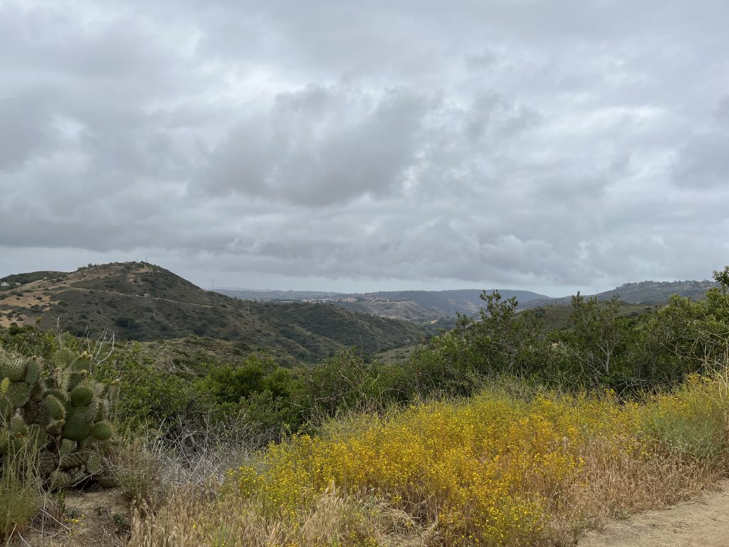 Hajk i Laguna Niguel - Orange County
